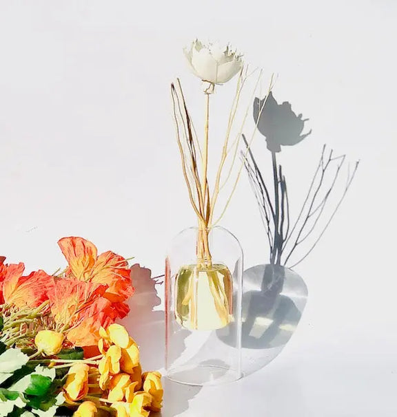 NEW! Floating Glass Globe & Natural Wood Branch Diffuser. Completely ...